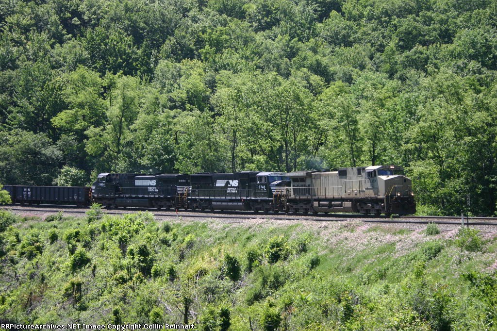 NS 9835, NS 6748, & NS 9484